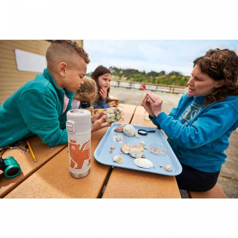 Botella Térmica Stanley Flowsteady 503 ml Ash